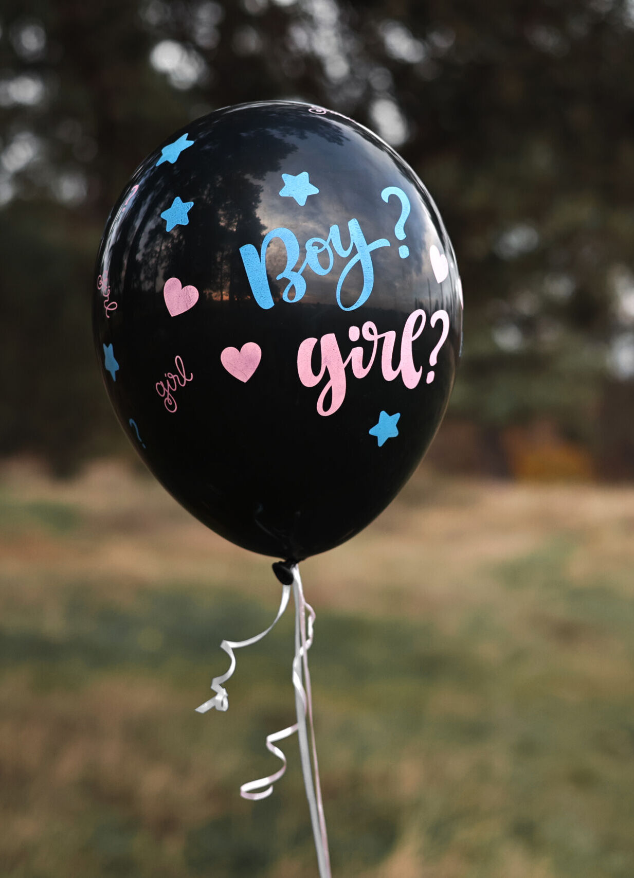 Gender Determination Ultrasound Knoxville | Behind the Bump